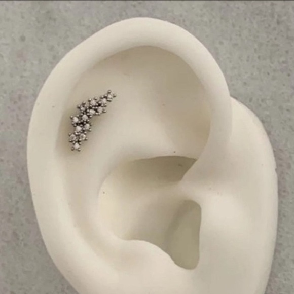 Modest Lu | Jewelry | Silver Star Burst Crystal Cartilage Earring Brand ...